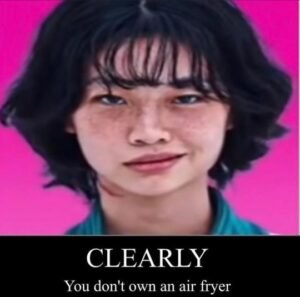 10 Funny Air Fryer Memes To Share - Cook Gator