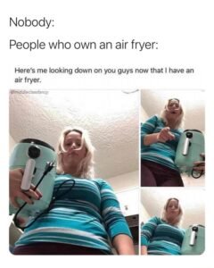 10 Funny Air Fryer Memes To Share - Cook Gator